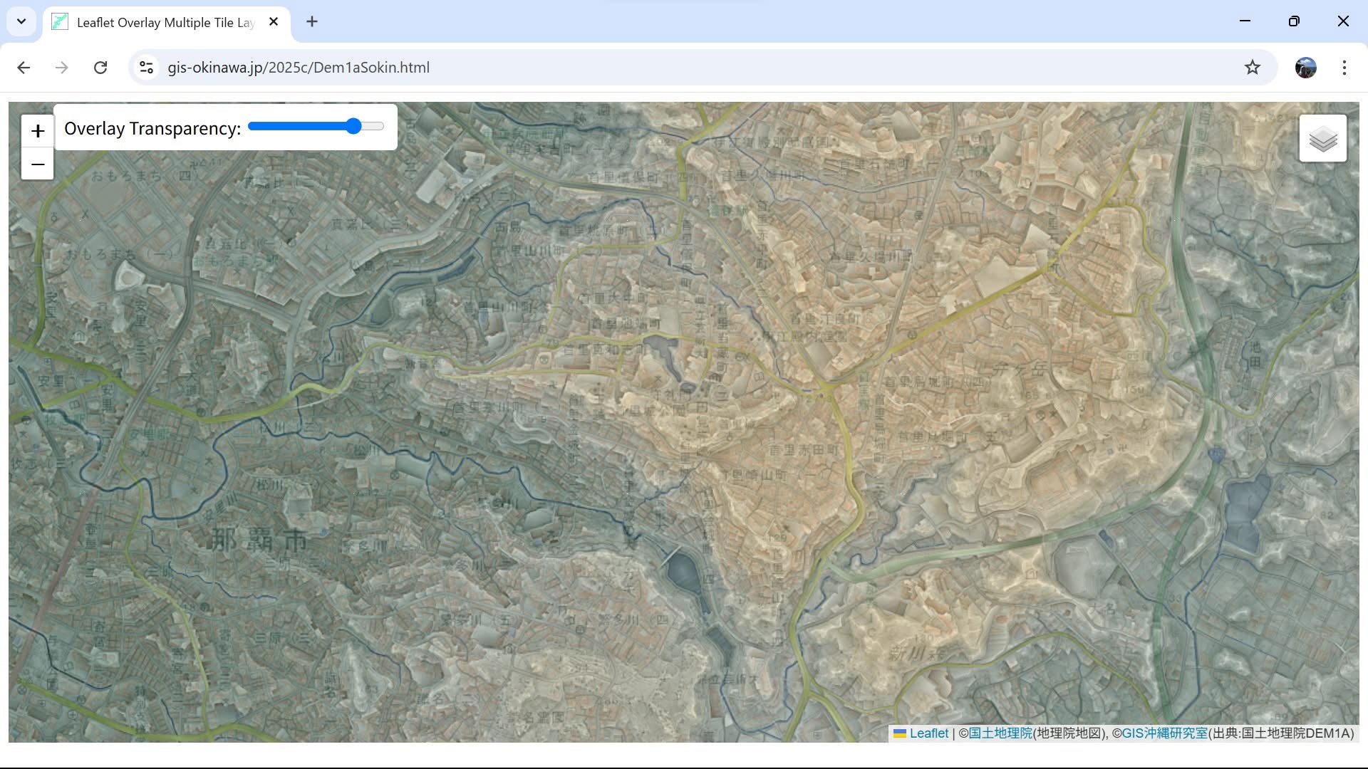 DEM1A_webMap | GIS-okinawa_blog